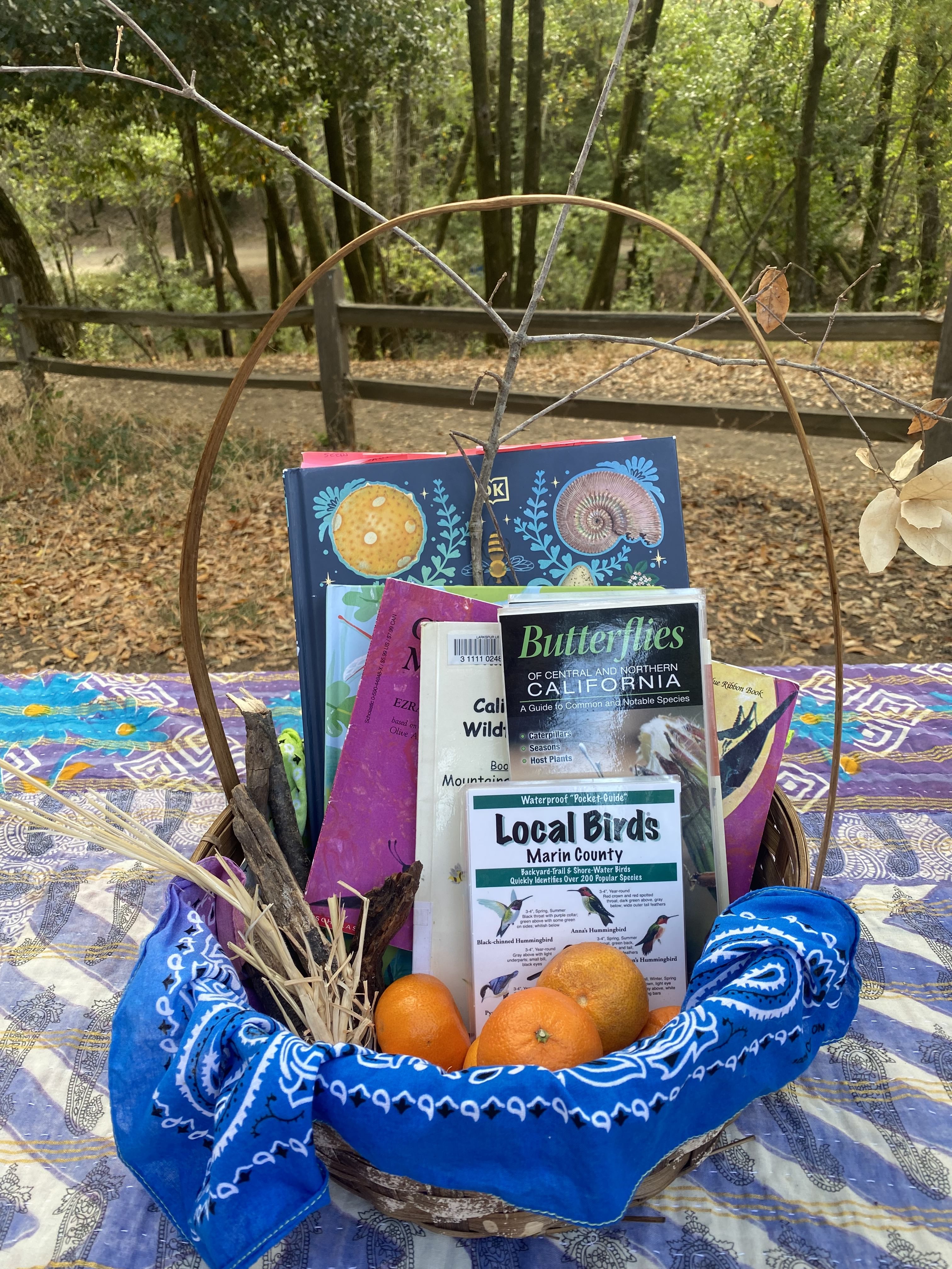 Register for Snails & Turkey Tails Outdoor Adventure Preschool Mid ...