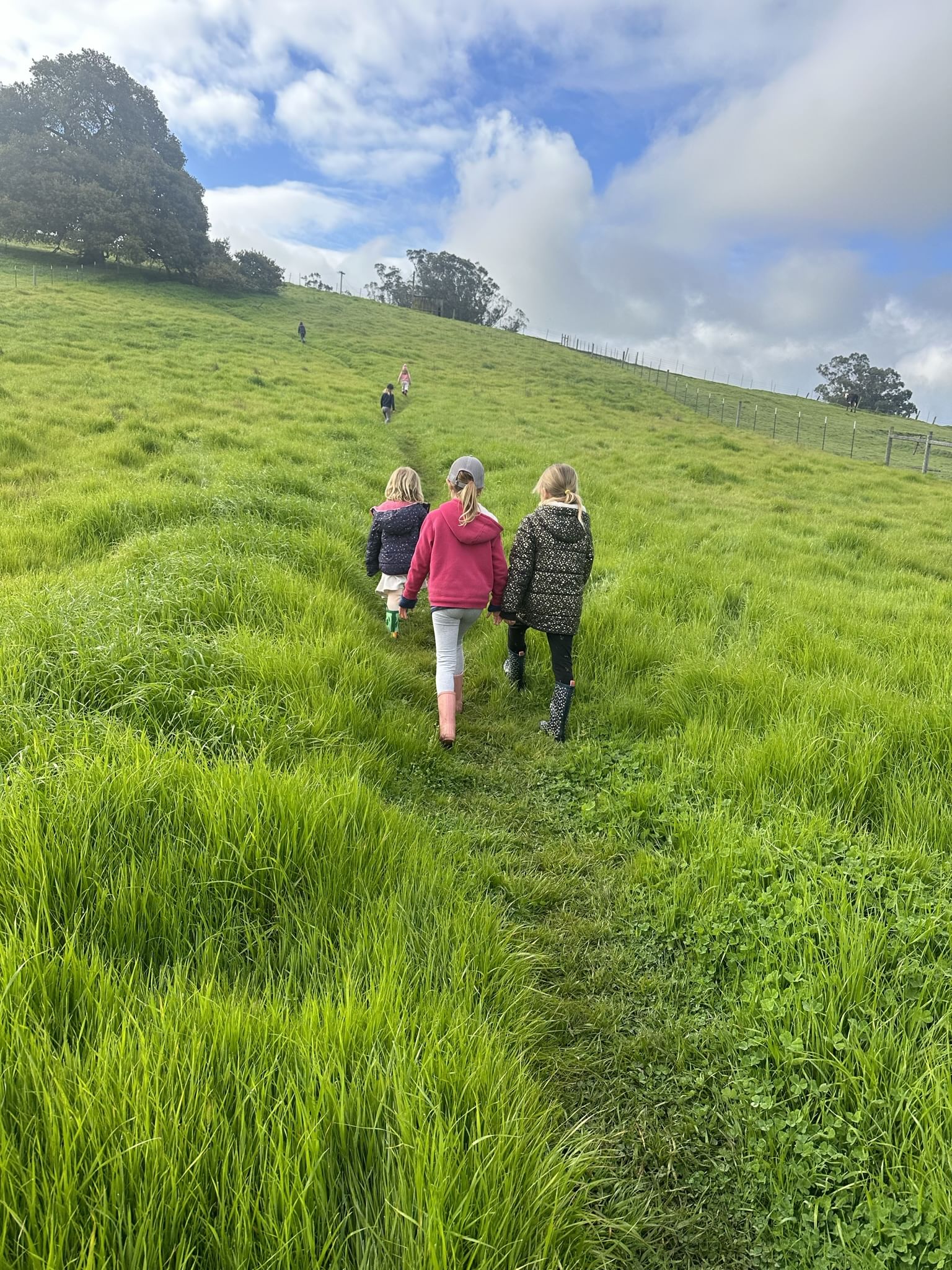 Register for Sunbeam Nature Camps - Sunbeam Nature School in Petaluma, CA